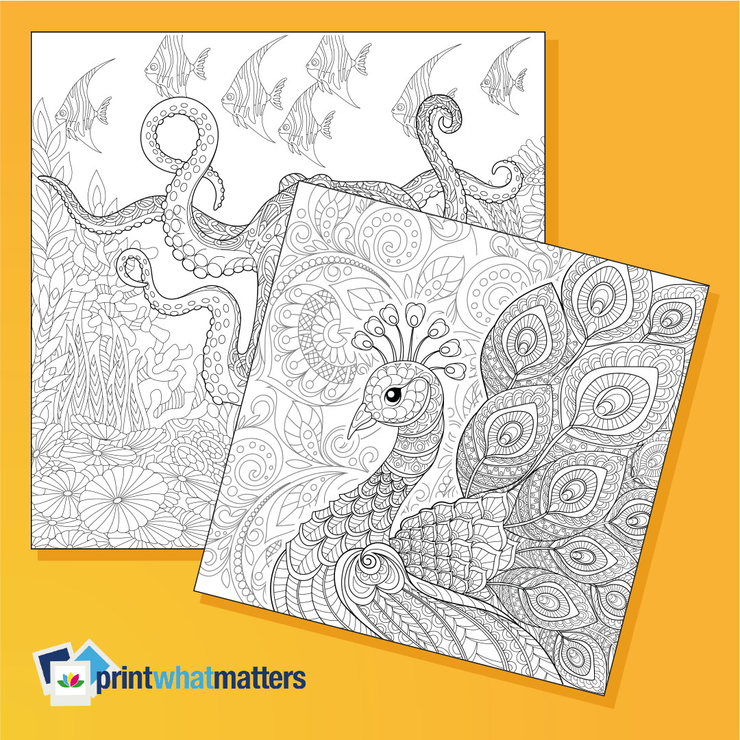 Colouring Sketches - Print what matters